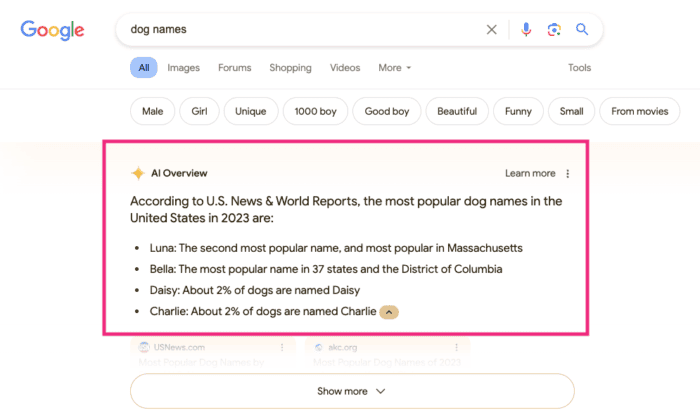 What Are Search Engine Results Pages (SERPs)?