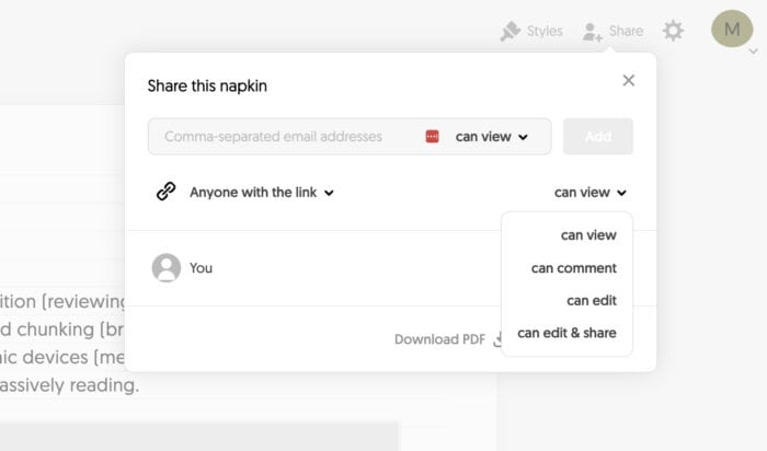 Napkin AI Review: Free 1 Click Graphics For ANYTHING!